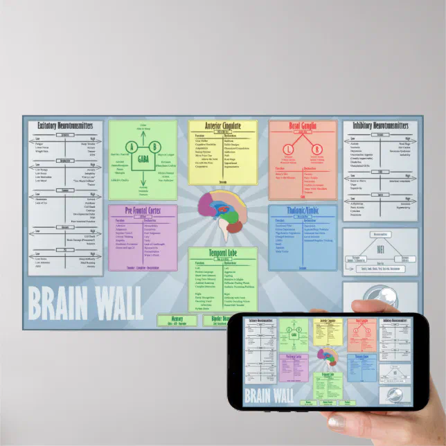 Brain Wall Poster | Zazzle