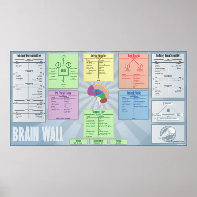 Brain Wall Poster | Zazzle