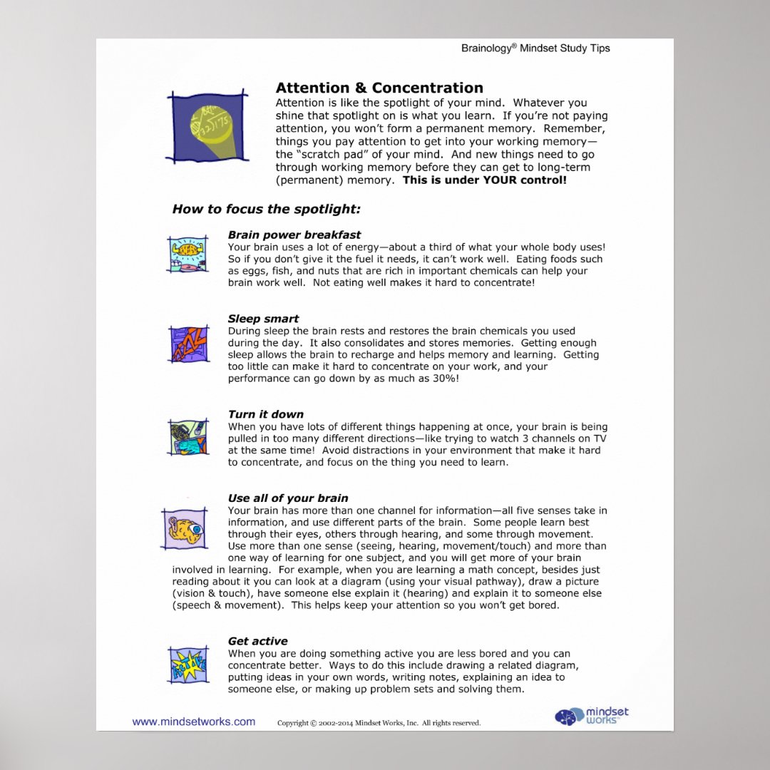 Brainology® Poster 3: Attention and Concentration | Zazzle