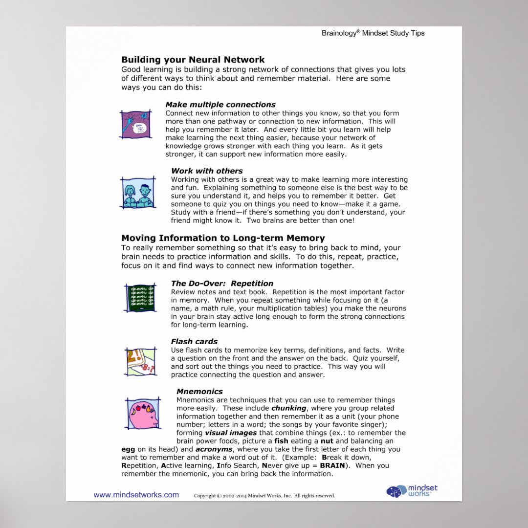 Brainology® Poster 6: Building Your Neural Network | Zazzle