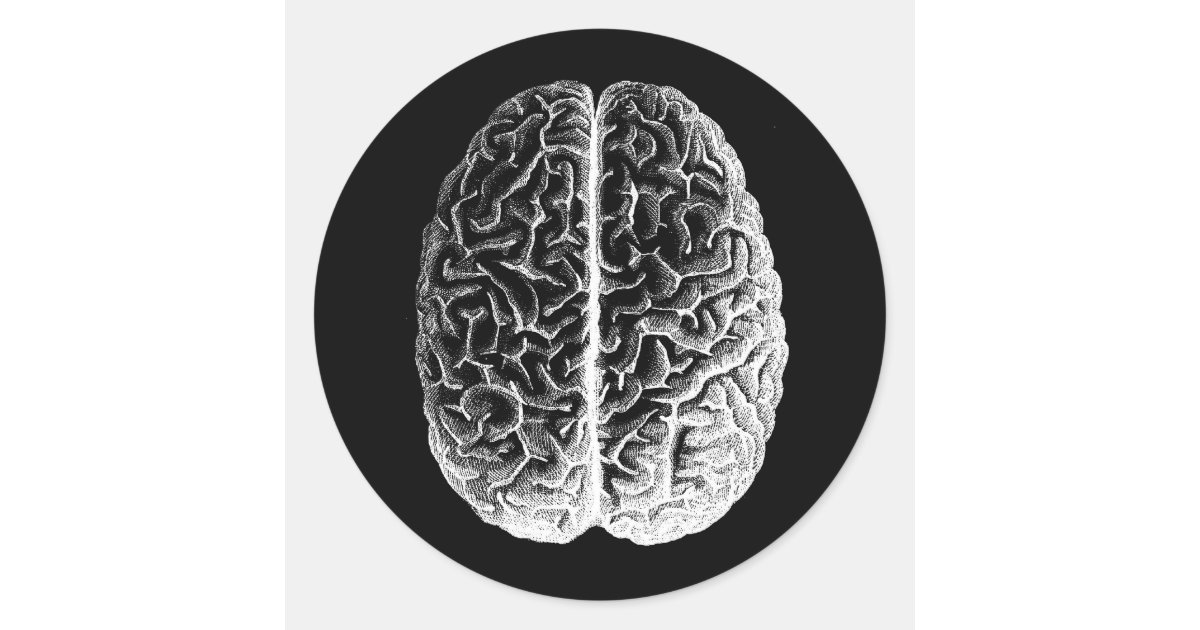 Brains! Classic Round Sticker | Zazzle