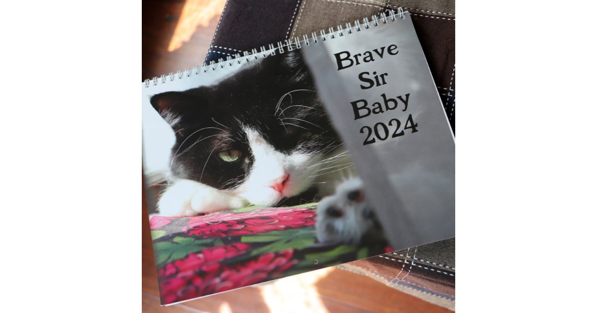 Brave Sir Baby Calendar | Zazzle