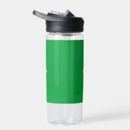 Brazil Flag Patriotic Brazilian National Pride Water Bottle | Zazzle