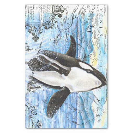 Breaching Orca Ancient Map Tissue Paper | Zazzle