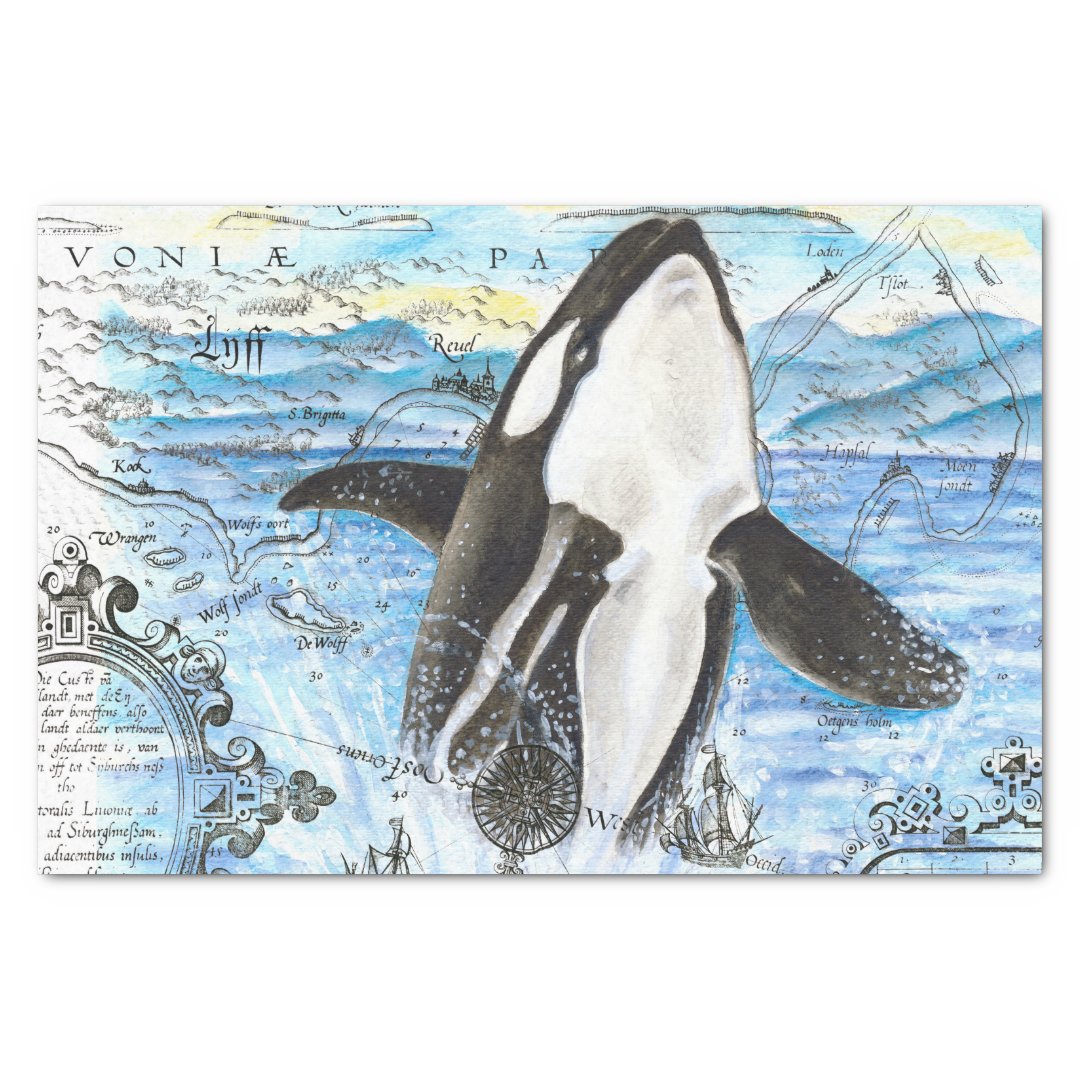 Breaching Orca Ancient Map Tissue Paper | Zazzle