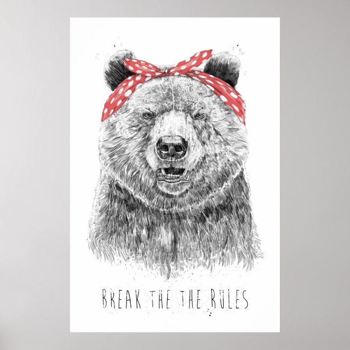 Break the rules poster | Zazzle.com