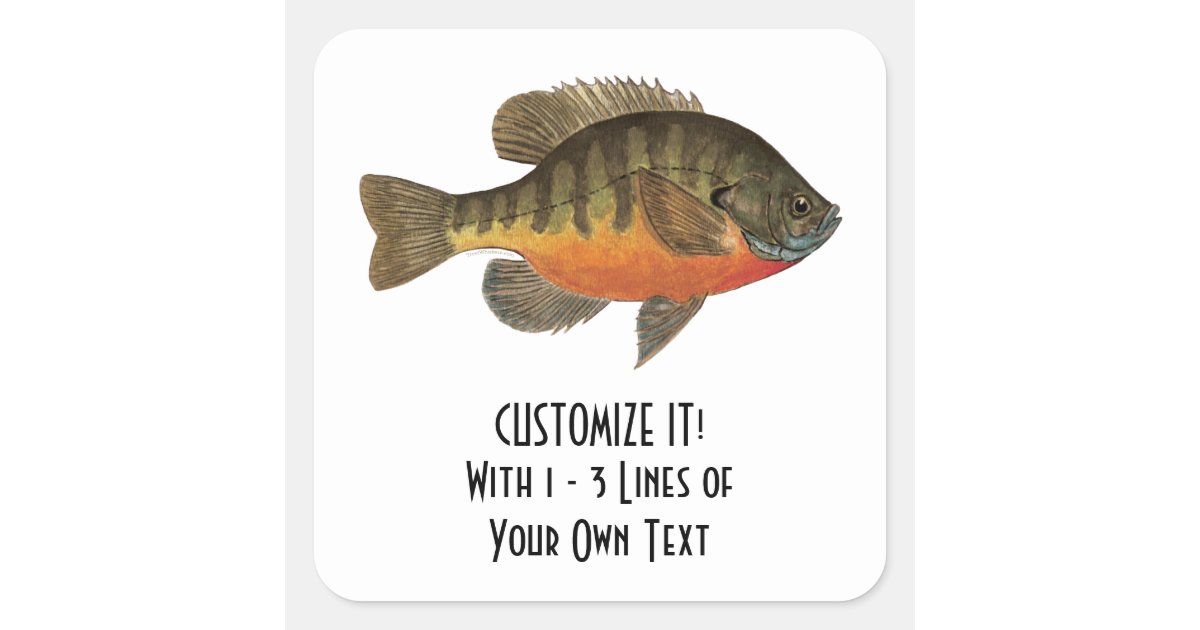 Bream Fishing Square Sticker | Zazzle