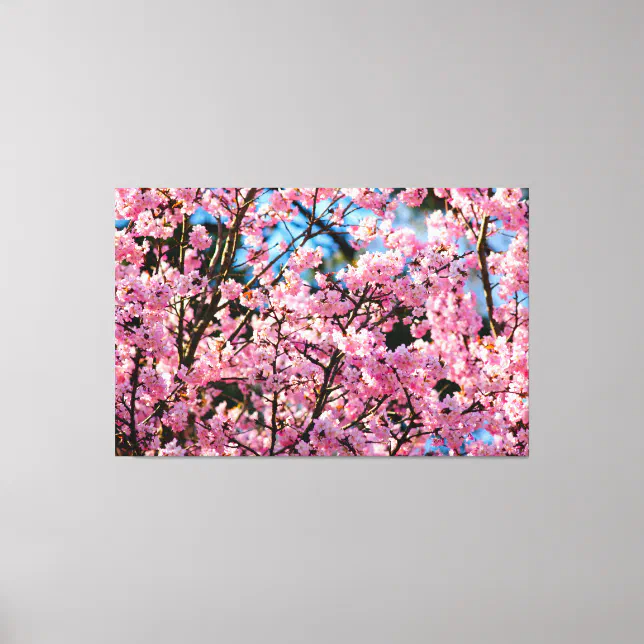 Breathtaking Sakura Tree In Pink Bloom Of Spring Canvas Print | Zazzle