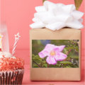 Briar Rose Rectangular Sticker | Zazzle