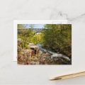 Bridge Over River Postcard | Zazzle