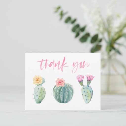 Bright colorful cacti thank you note girlfriends postcard | Zazzle