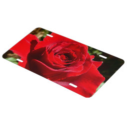 Bright Red Rose Flower Beautiful Floral License Plate | Zazzle