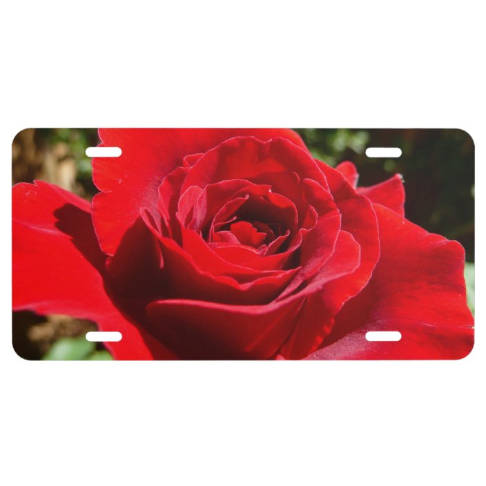 Bright Red Rose Flower Beautiful Floral License Plate | Zazzle.com