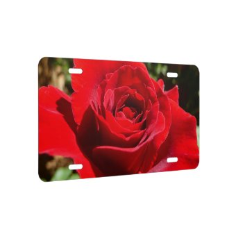Bright Red Rose Flower Beautiful Floral License Plate | Zazzle