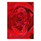 Deep Red Rose Floral Wedding Invitation | Zazzle.com