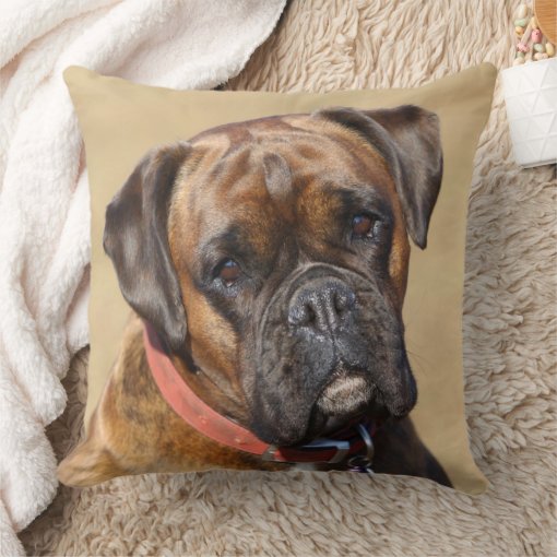 Brindle Boxer Dog Throw Pillow | Zazzle