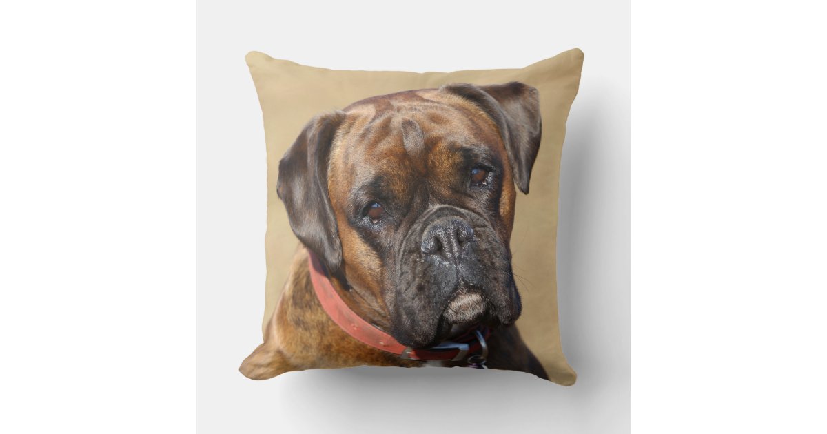 Brindle Boxer Dog Throw Pillow | Zazzle