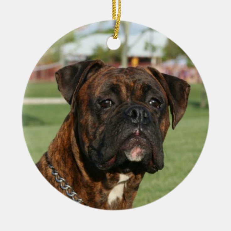 Brindle boxer ornament | Zazzle