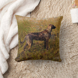 Brindle Plott Hound in Marsh Throw Pillow | Zazzle