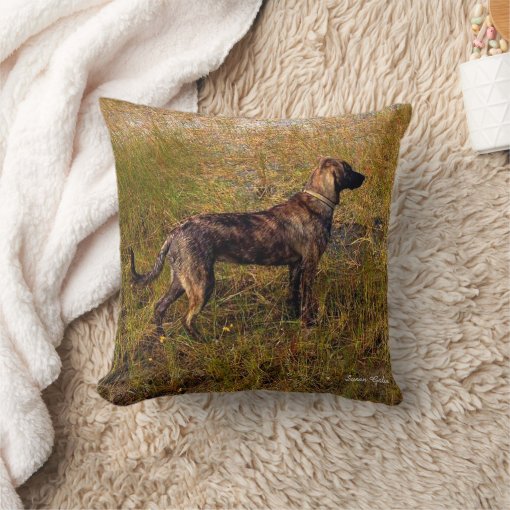 Brindle Plott Hound in Marsh Throw Pillow | Zazzle