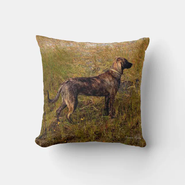 Brindle Plott Hound in Marsh Throw Pillow | Zazzle