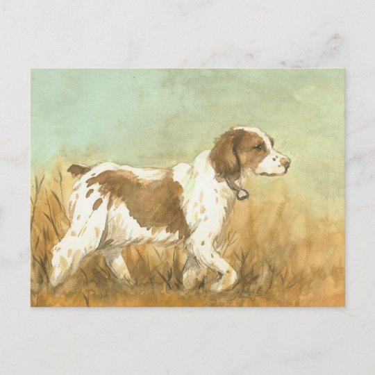 "Brittany Spaniel" Art Reproduction Postcard | Zazzle.com
