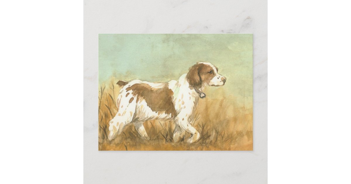 "Brittany Spaniel" Art Reproduction Postcard | Zazzle