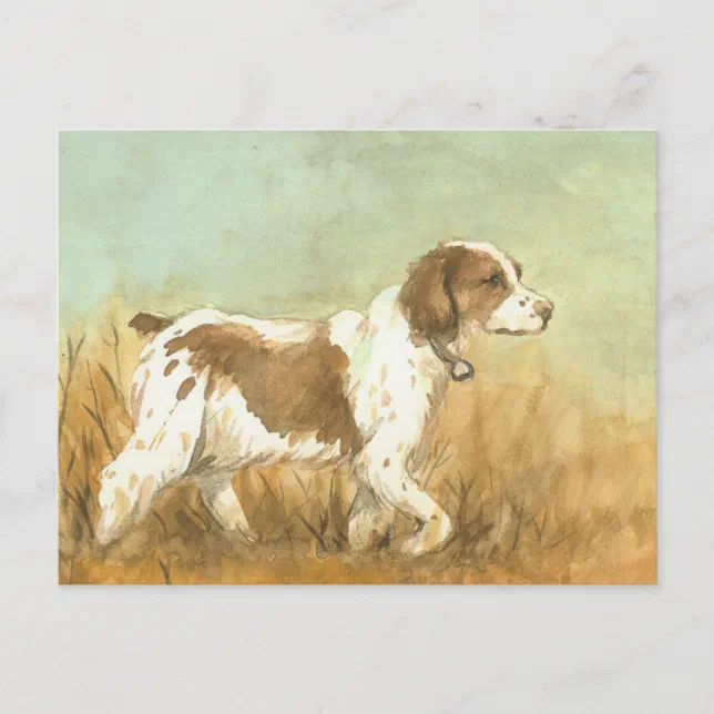 "Brittany Spaniel" Art Reproduction Postcard | Zazzle
