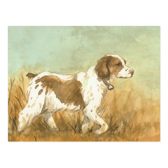 "Brittany Spaniel" Art Reproduction Postcard | Zazzle.com