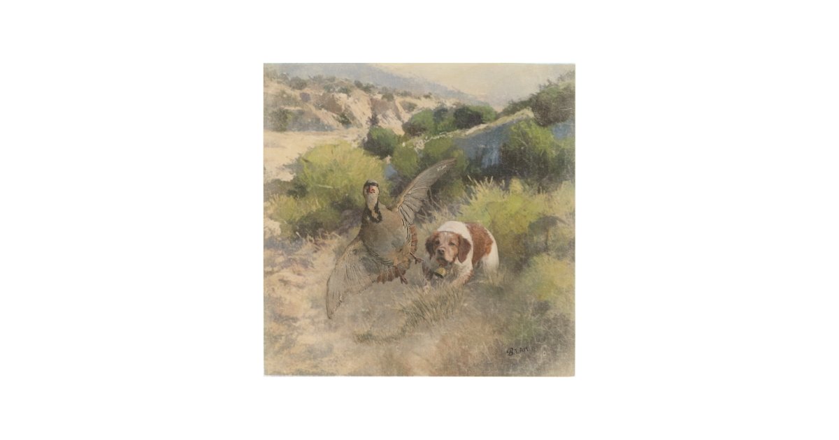Brittany Spaniel hunting chukar partridge, Art | Zazzle