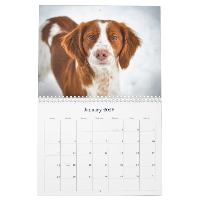 Brittanys Calendar | Zazzle