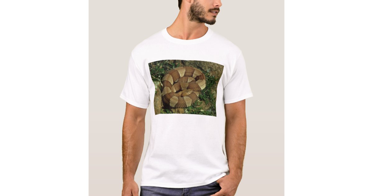 broad-banded copperhead snake mens t-shirt | Zazzle