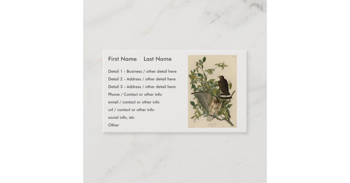 Broad-winged Hawk from Audubon's Birds of America Business Card | Zazzle