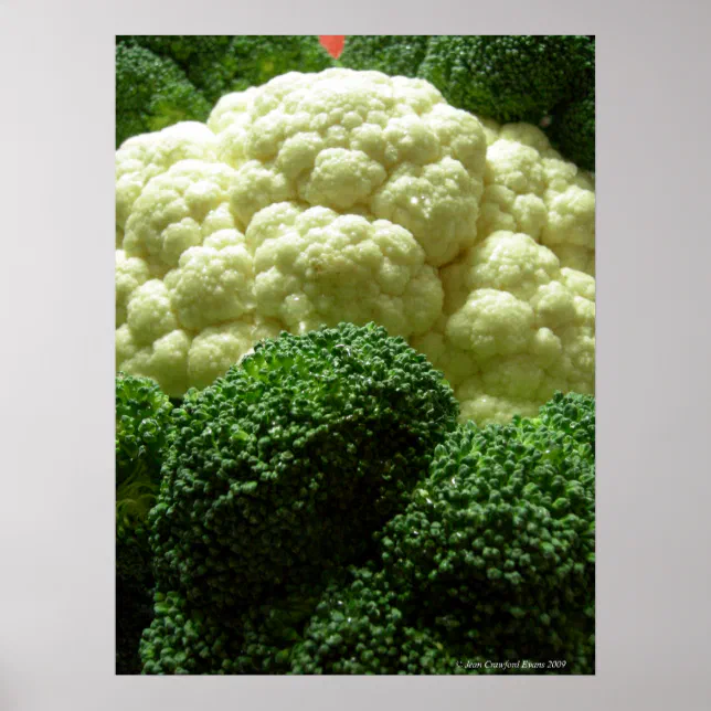 Broccoli & cauliflower poster | Zazzle