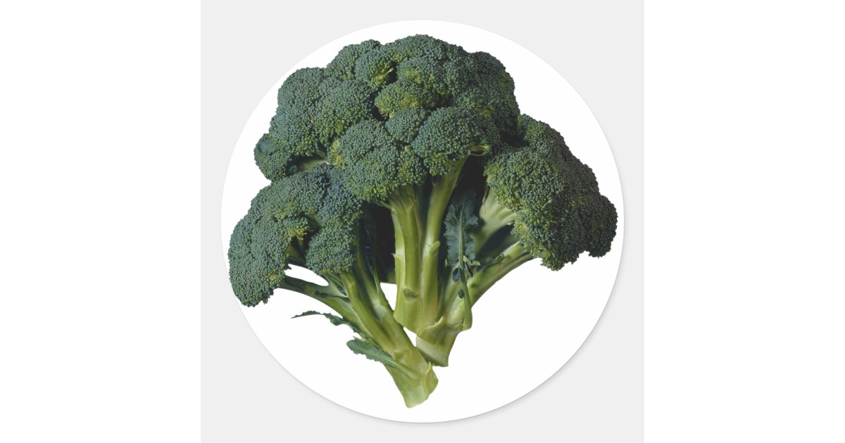 Broccoli Classic Round Sticker | Zazzle