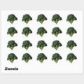Broccoli Classic Round Sticker | Zazzle