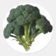 Broccoli Classic Round Sticker | Zazzle