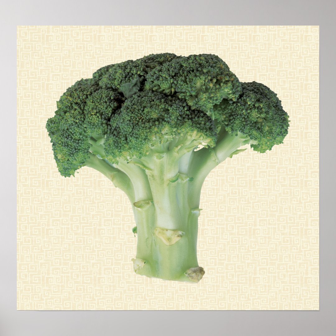 Broccoli Poster | Zazzle