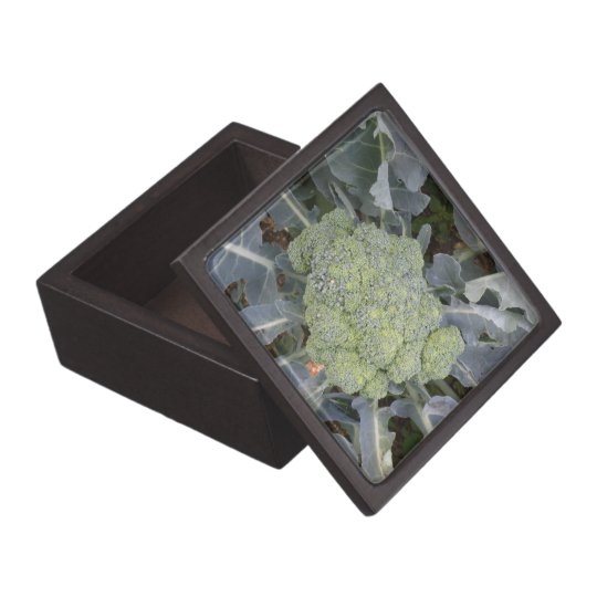 Broccoli Premium Gift Box | Zazzle.com