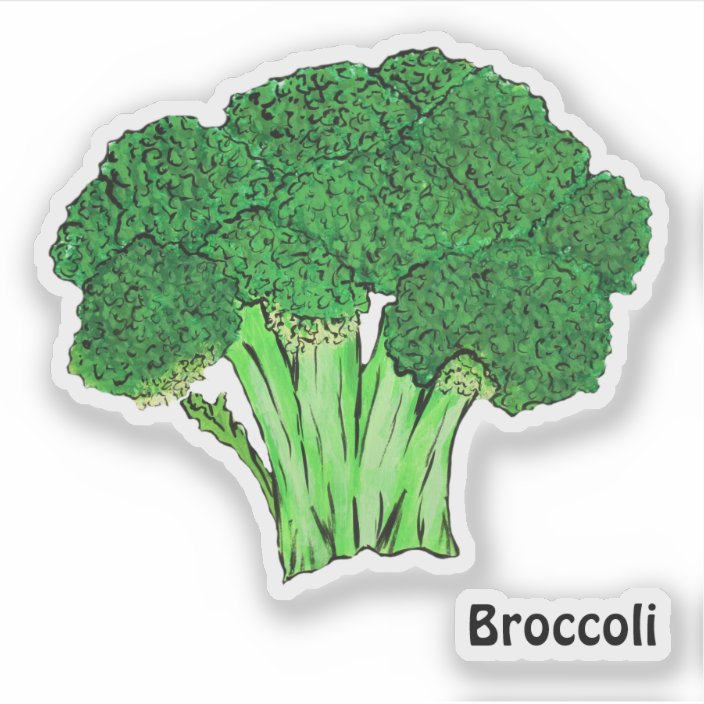 Broccoli Sticker | Zazzle.com