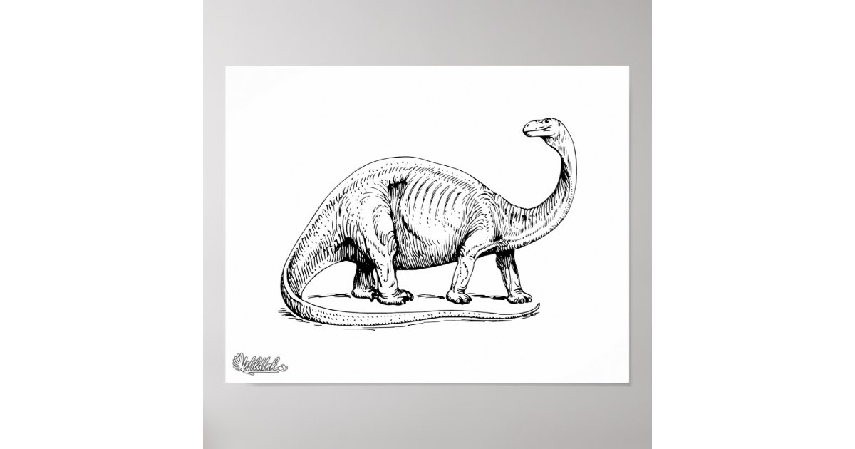 Brontosaurus Poster | Zazzle