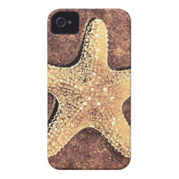 Bronze Starfish iPhone 4 Case | Zazzle