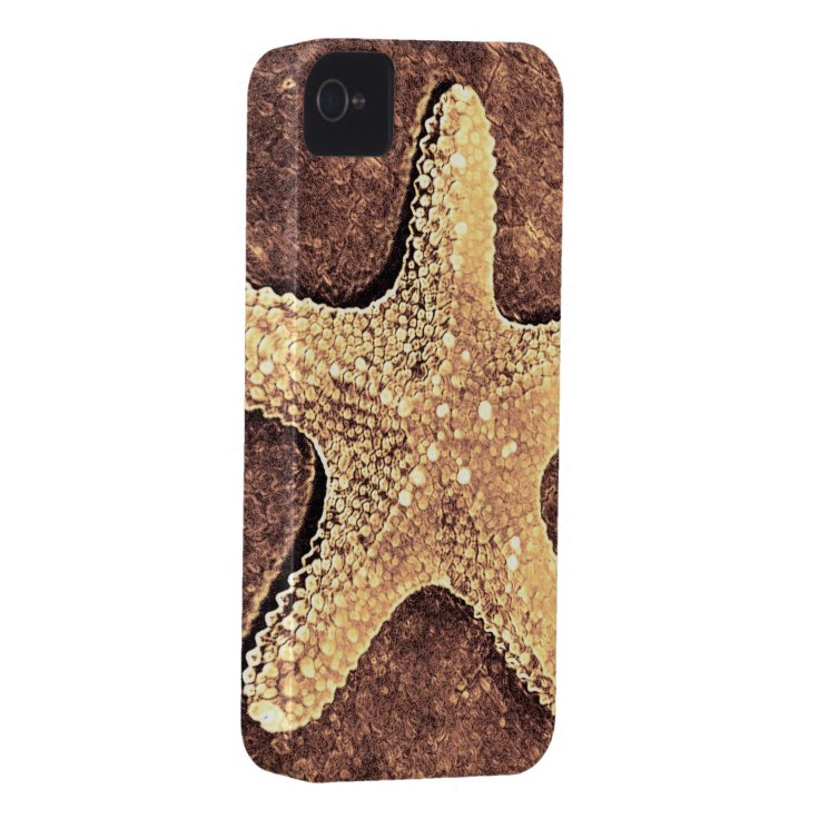Bronze Starfish iPhone 4 Case | Zazzle