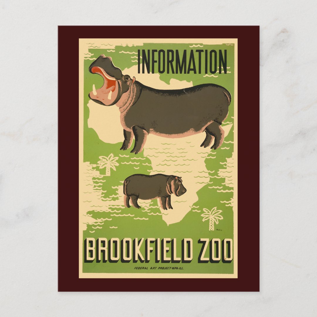 Brookfield Zoo Postcard | Zazzle