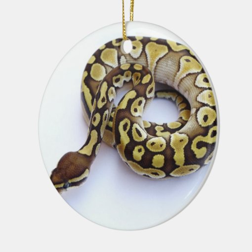 Brown and Gold Ball Python 2 Ceramic Ornament | Zazzle