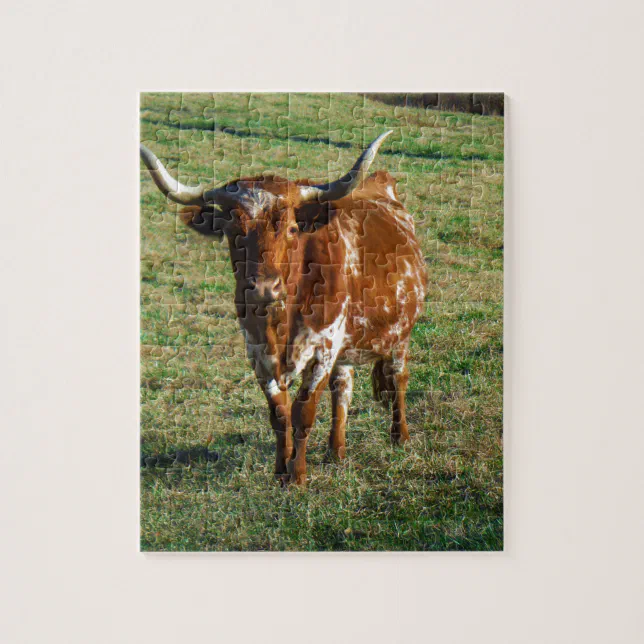 Brown and White Longhorn Bull Jigsaw Puzzle | Zazzle