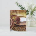 Brown Ball Python Resting Postcard | Zazzle