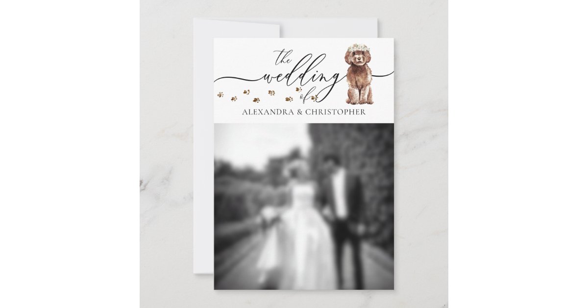 Brown Cavapoo puppy Wedding Photo Invitation | Zazzle
