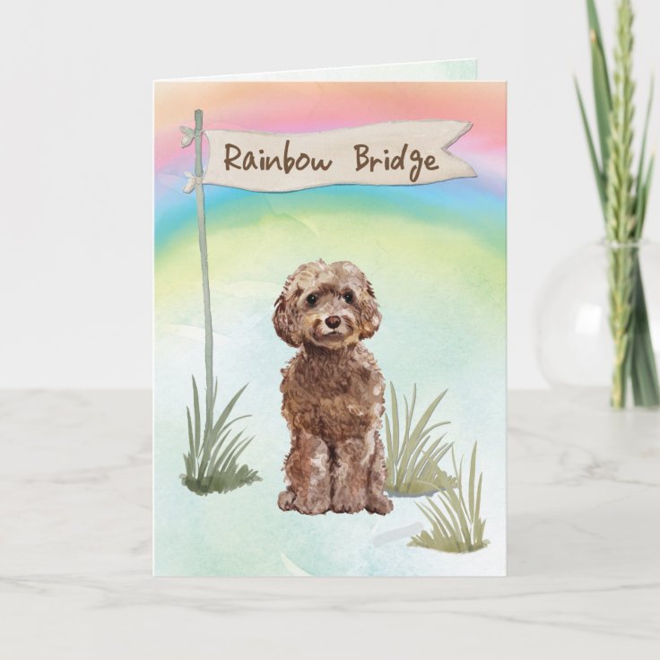 Brown Cockapoo Pet Sympathy Over Rainbow Bridge Card | Zazzle