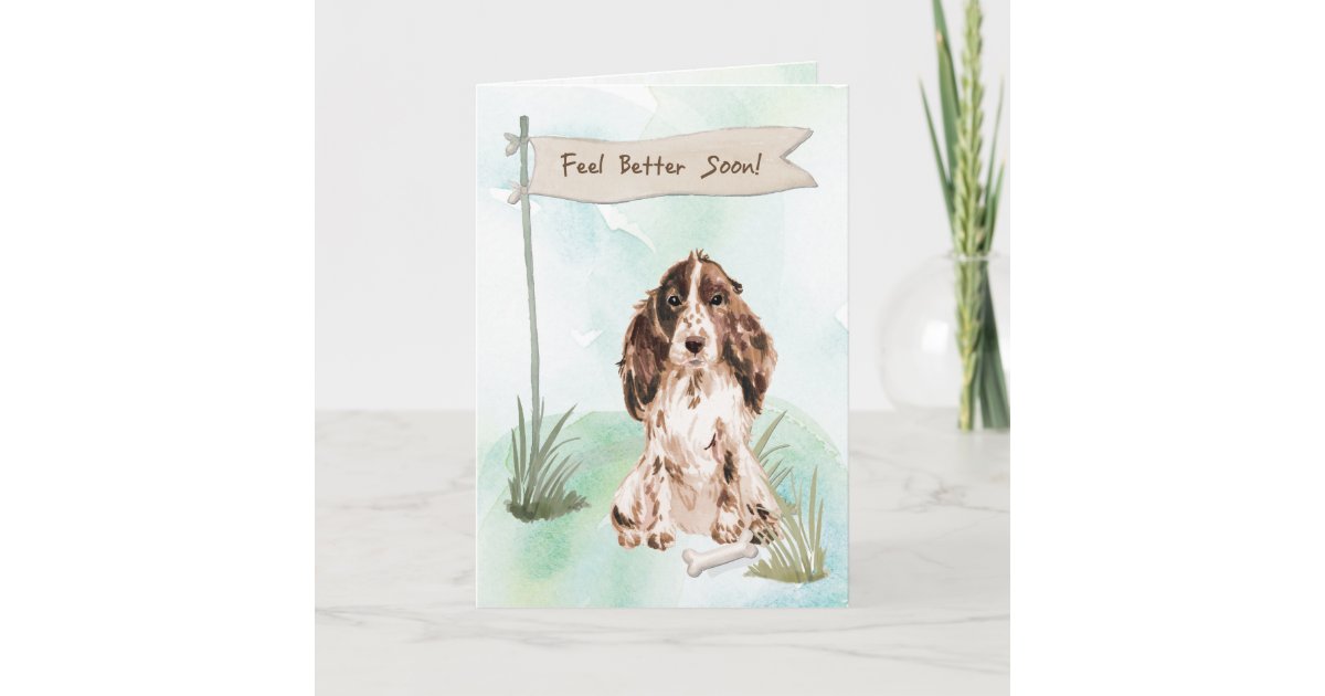 Brown Cocker Spaniel Feel Better Surgery to Dog Card | Zazzle